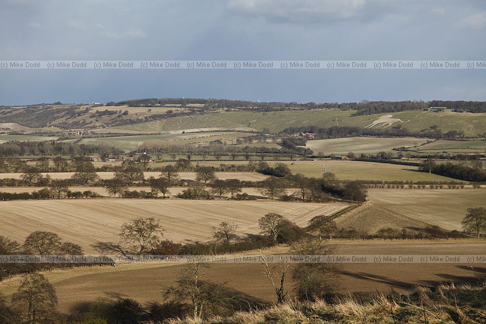British Isles habitats and landscapes