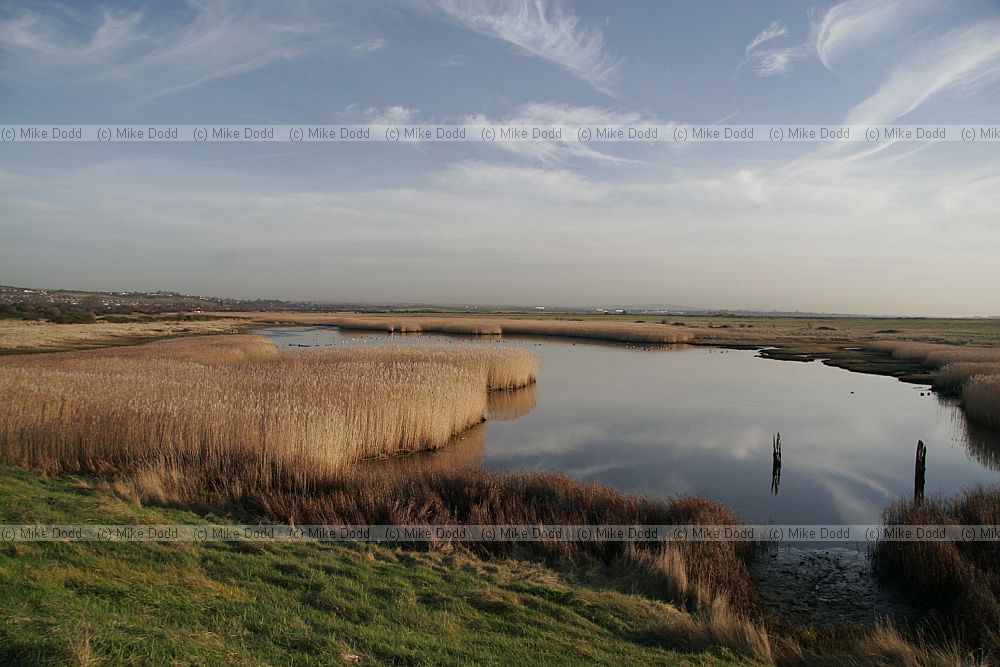 British Isles habitats and landscapes
