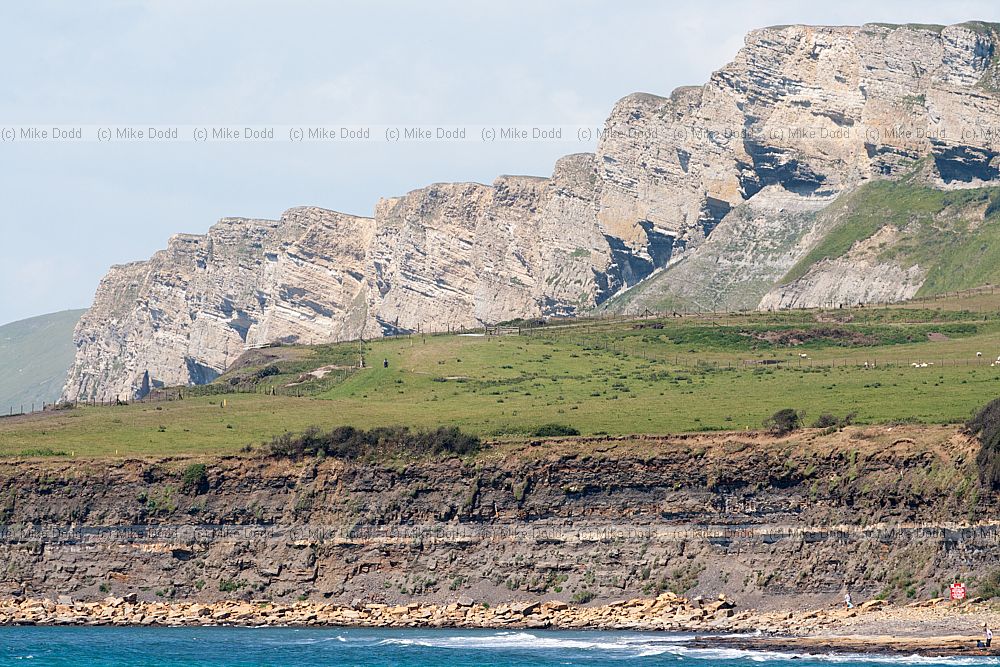 British Isles habitats and landscapes