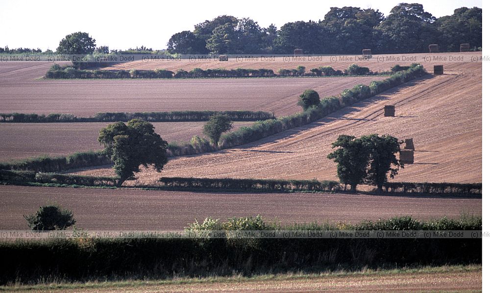 British Isles habitats and landscapes