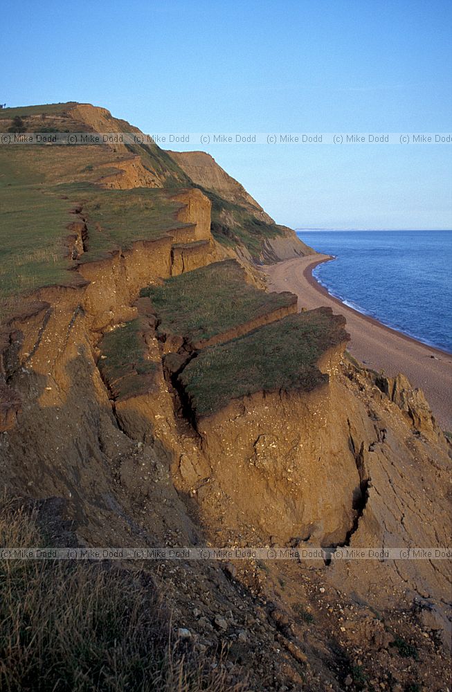 British Isles habitats and landscapes