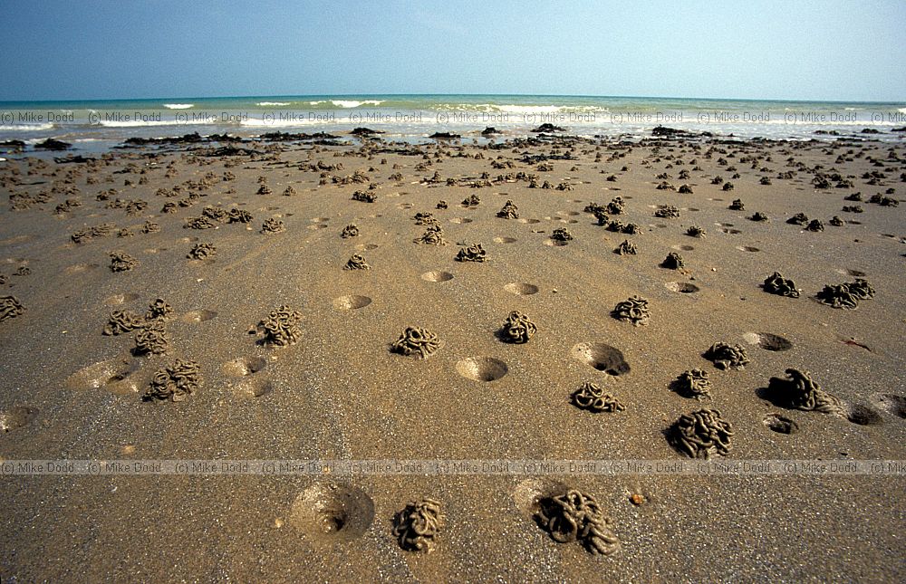 British Isles habitats and landscapes