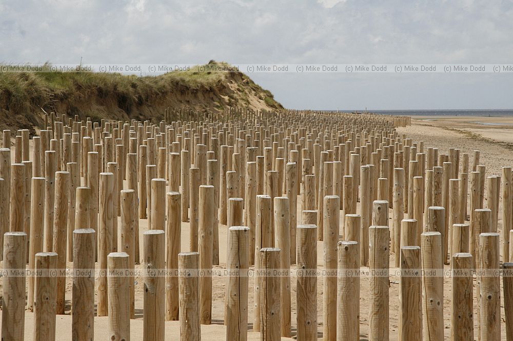 British Isles habitats and landscapes