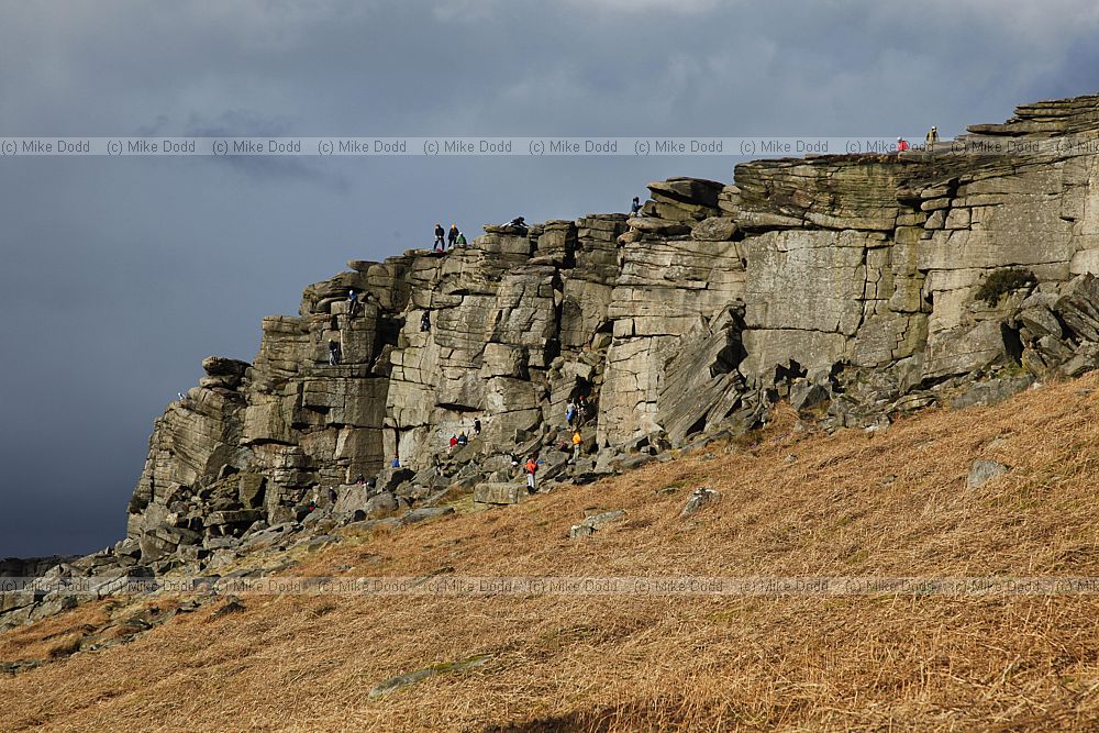 British Isles habitats and landscapes