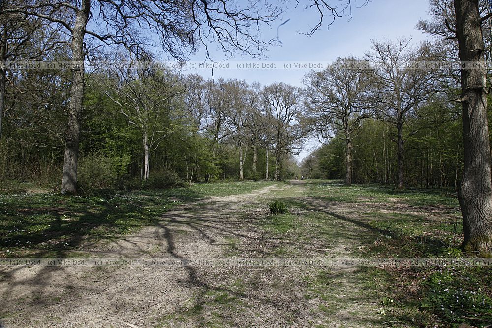 British Isles habitats and landscapes